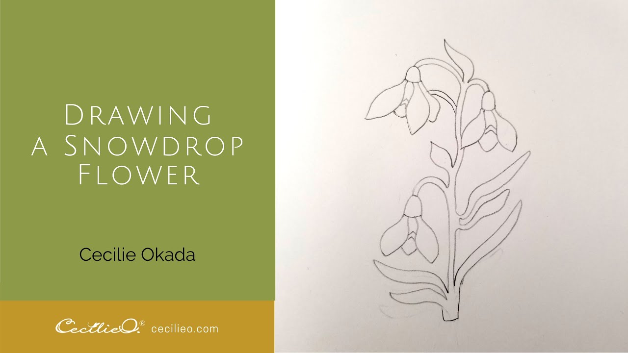 Drawing a simple snowdrop flower with a pencil. - YouTube