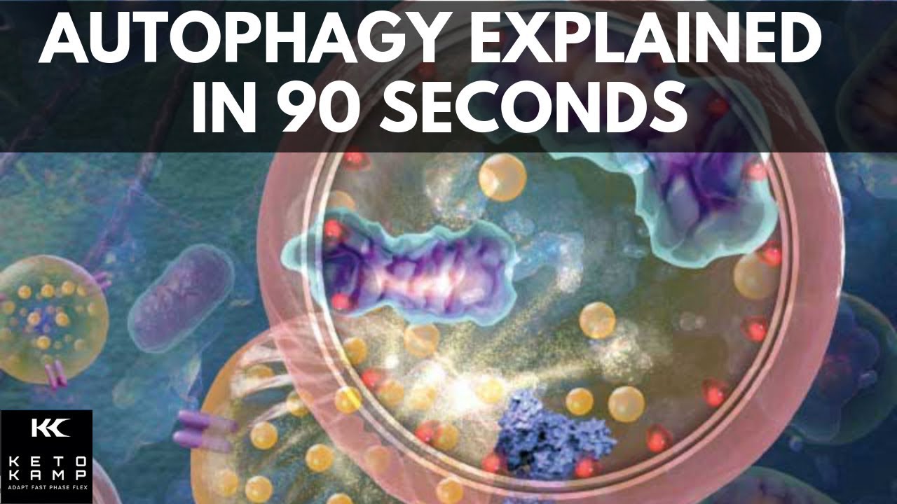 Autophagy Explained in 90 Seconds - YouTube