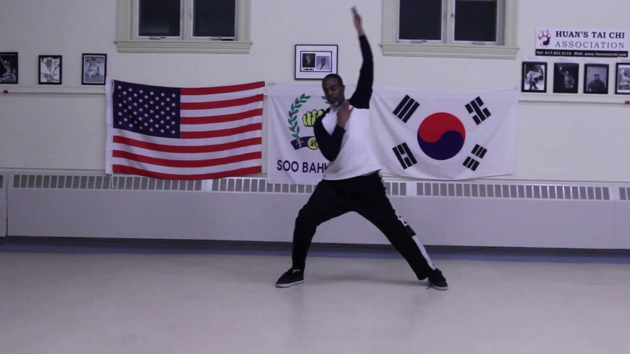 8 Animal Bagua: The First 4 Animals - YouTube