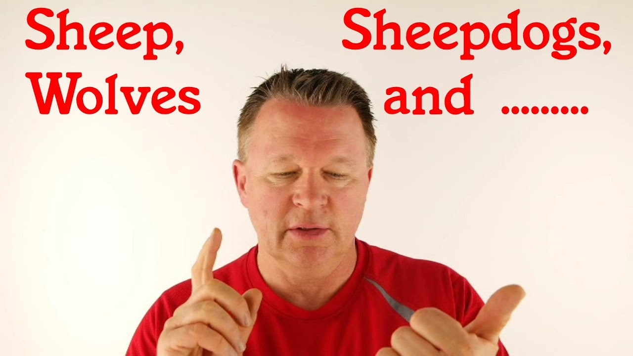Sheep, Sheepdogs, Wolves and ... - YouTube