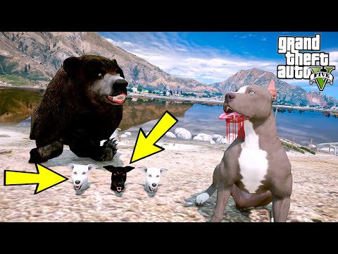 PİTBULL TEK BAŞINA 3 VAHŞİ DOBERMAN'I DÖVÜYOR! - GTA 5