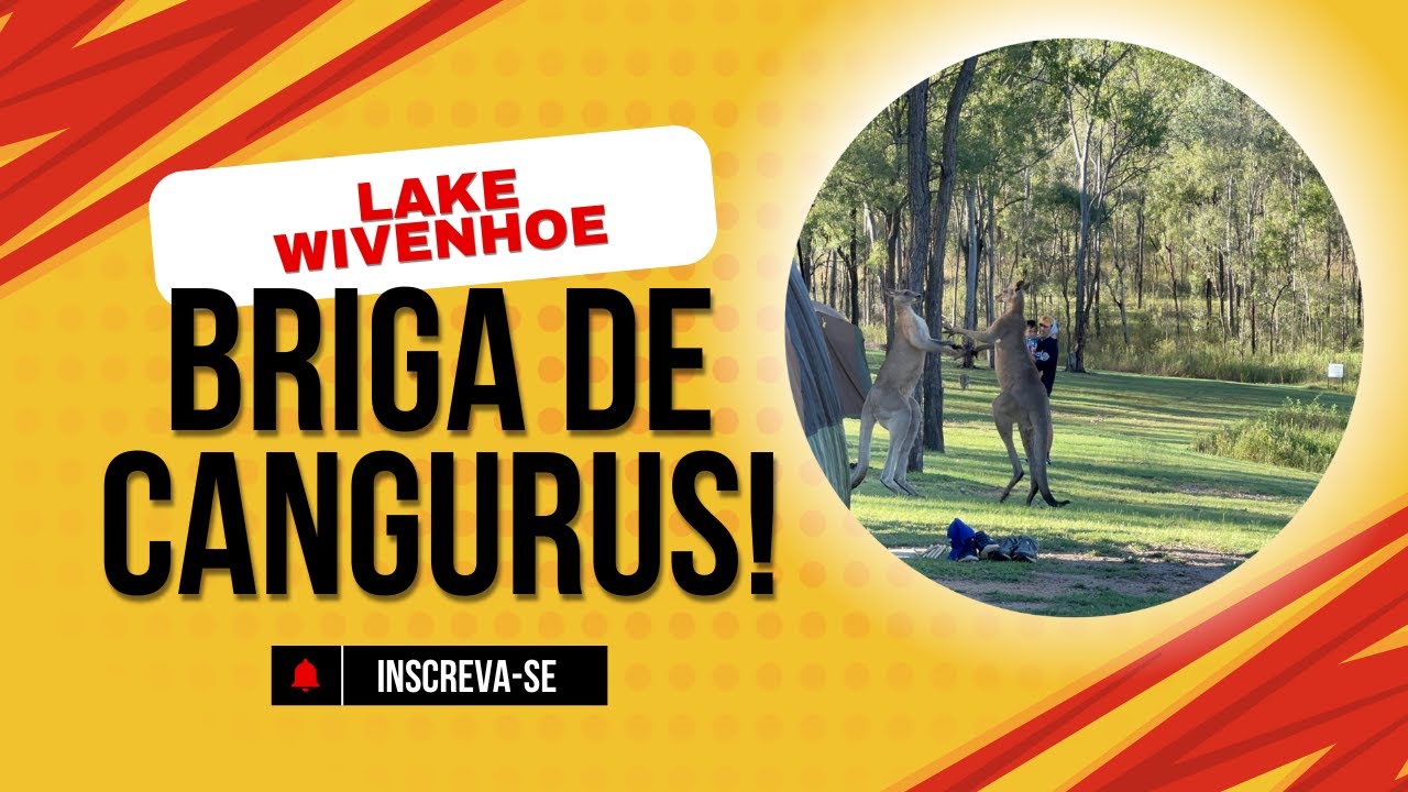 De novo??? Camping no Lake Wivenhoe novamente, mas mais preparados ...