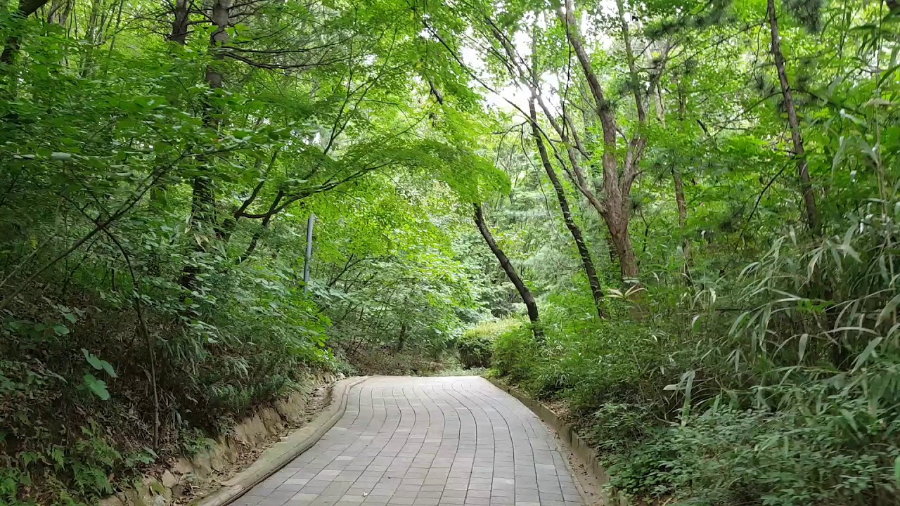 늦여름 청담공원 걷기 Late Summer Cheongdam Park - YouTube