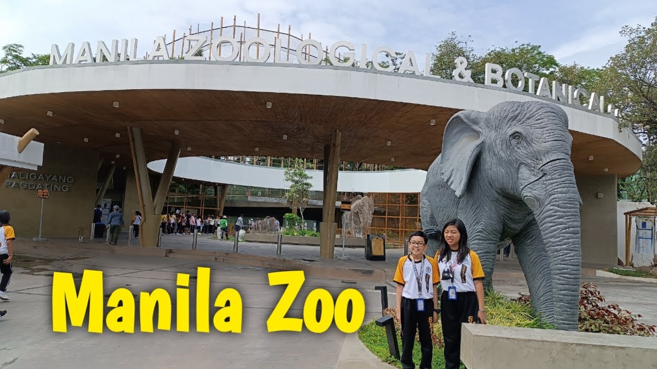 Manila Zoo - YouTube