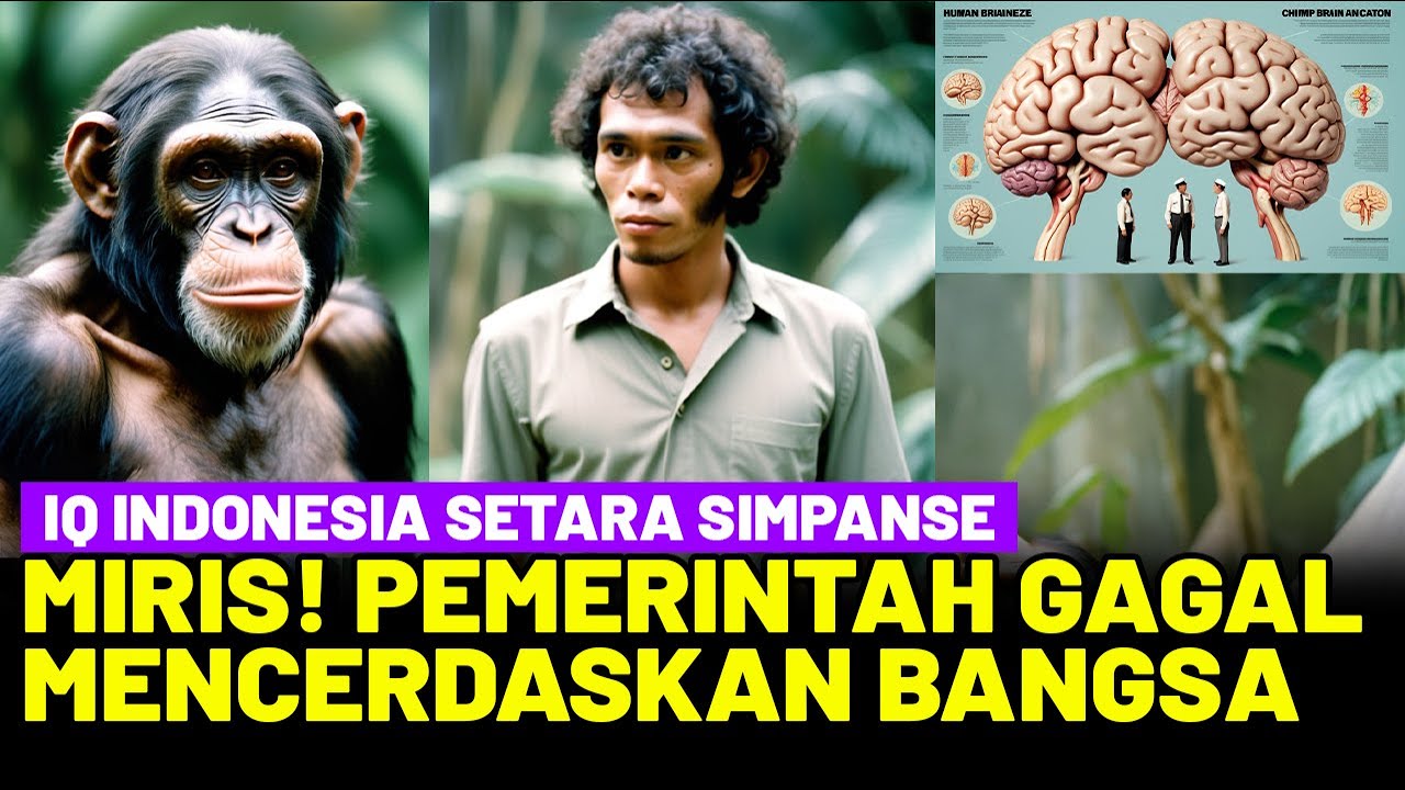 Miris IQ Rakyat Indonesia Terendah di ASEAN Bahkan Disetarakan Simpanse ...