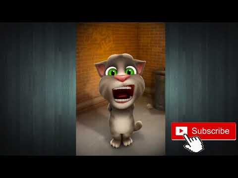 Talking Tom - Sen