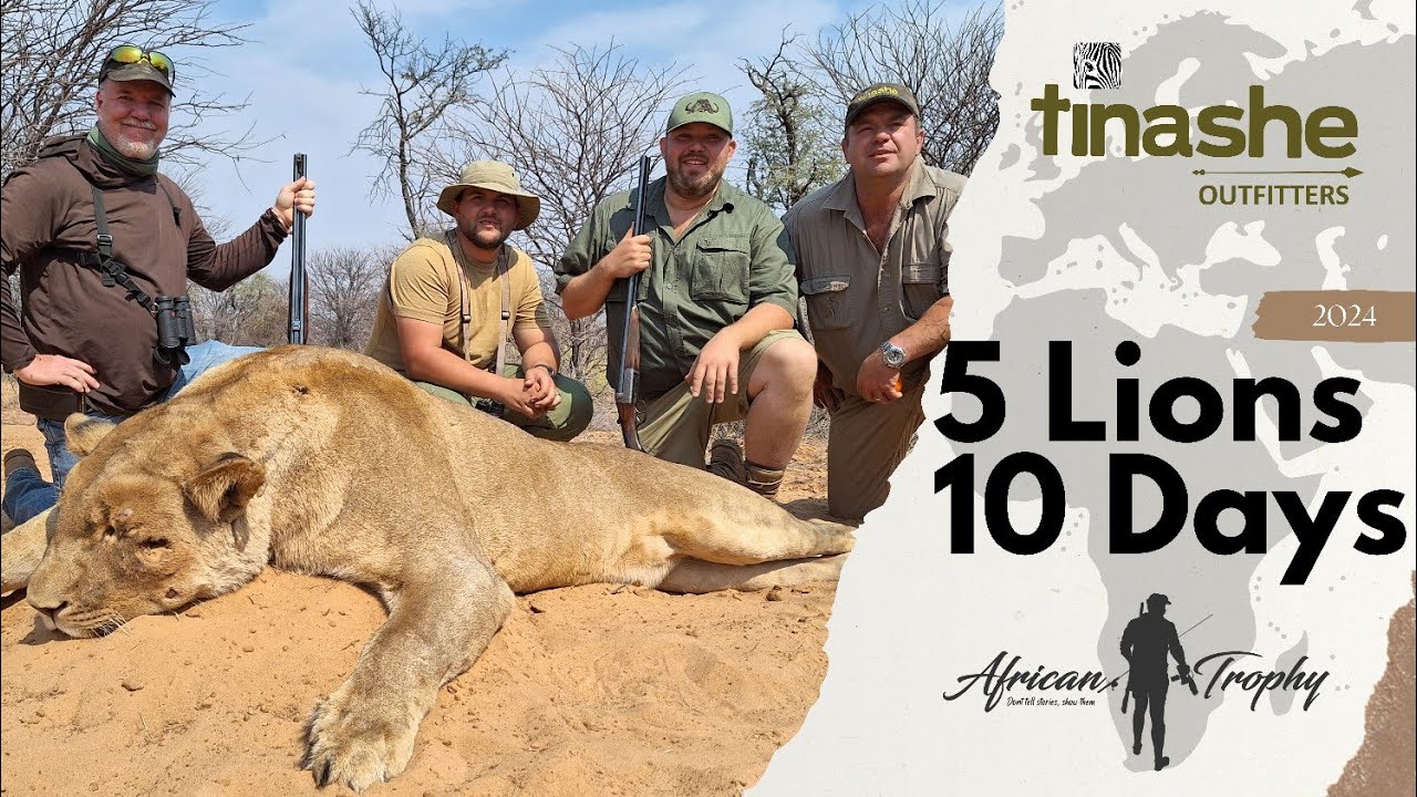 The Ultimate Lion Hunting Experience: 5 Lions in 10 Days. Tinashe ...