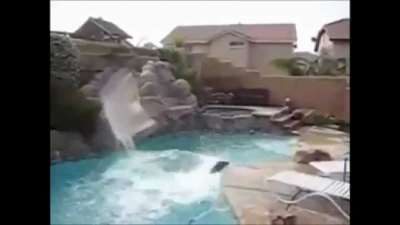 Riding the Slide ::: Dog ::: Best Funny Animal Videos - YouTube