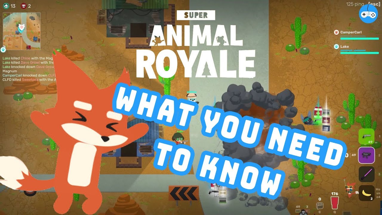 Super Animal Royale: Complete Beginners Guide - YouTube