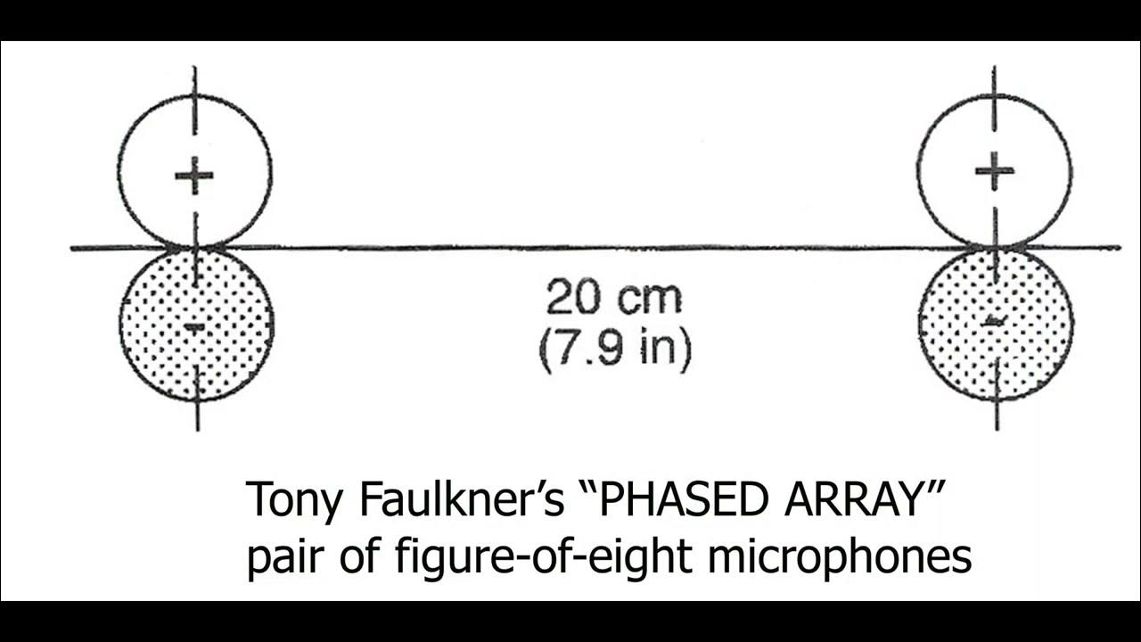 [MIC TECH ANALYSIS 4] FAULKNER "Phased Array" Mic System - YouTube