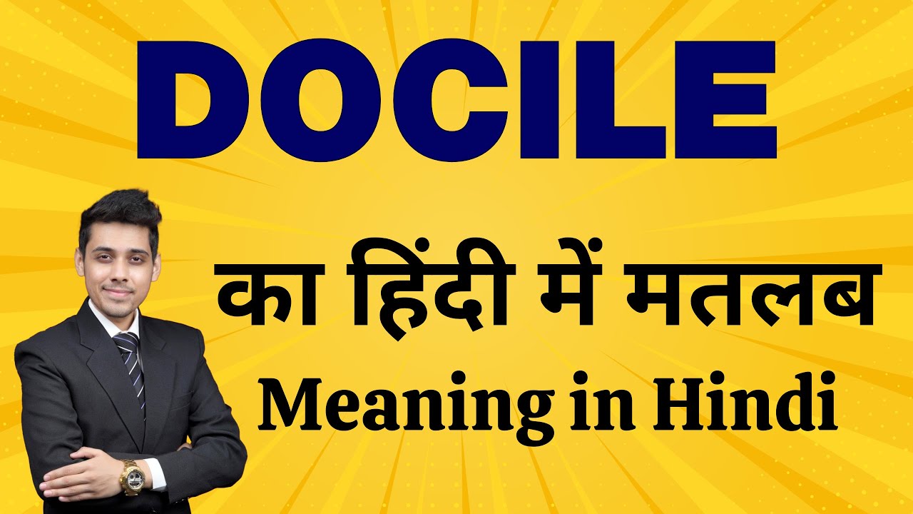Docile Word Meaning Explained In Hindi Bhasha Buddy YouTube docile-word-meaning-explained-in-hindi-bhasha-buddy-youtube