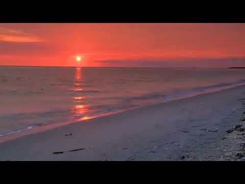 WhatsApp durumuna koyabileceğiniz efsane gün batımı ve sakinleştirici müzik