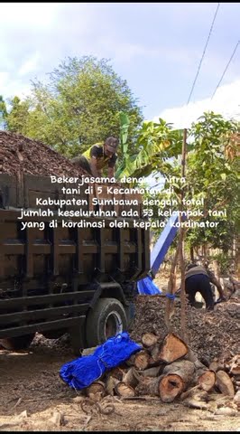inovasi Biomass woodchip kayu gamal sebagai bahan bakar pembangkit ...