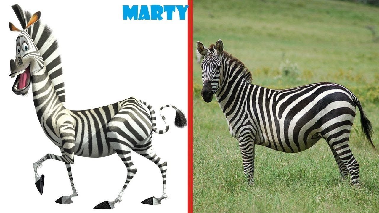 MADAGASCAR REAL LIFE CHARACTERS SMS TV - YouTube