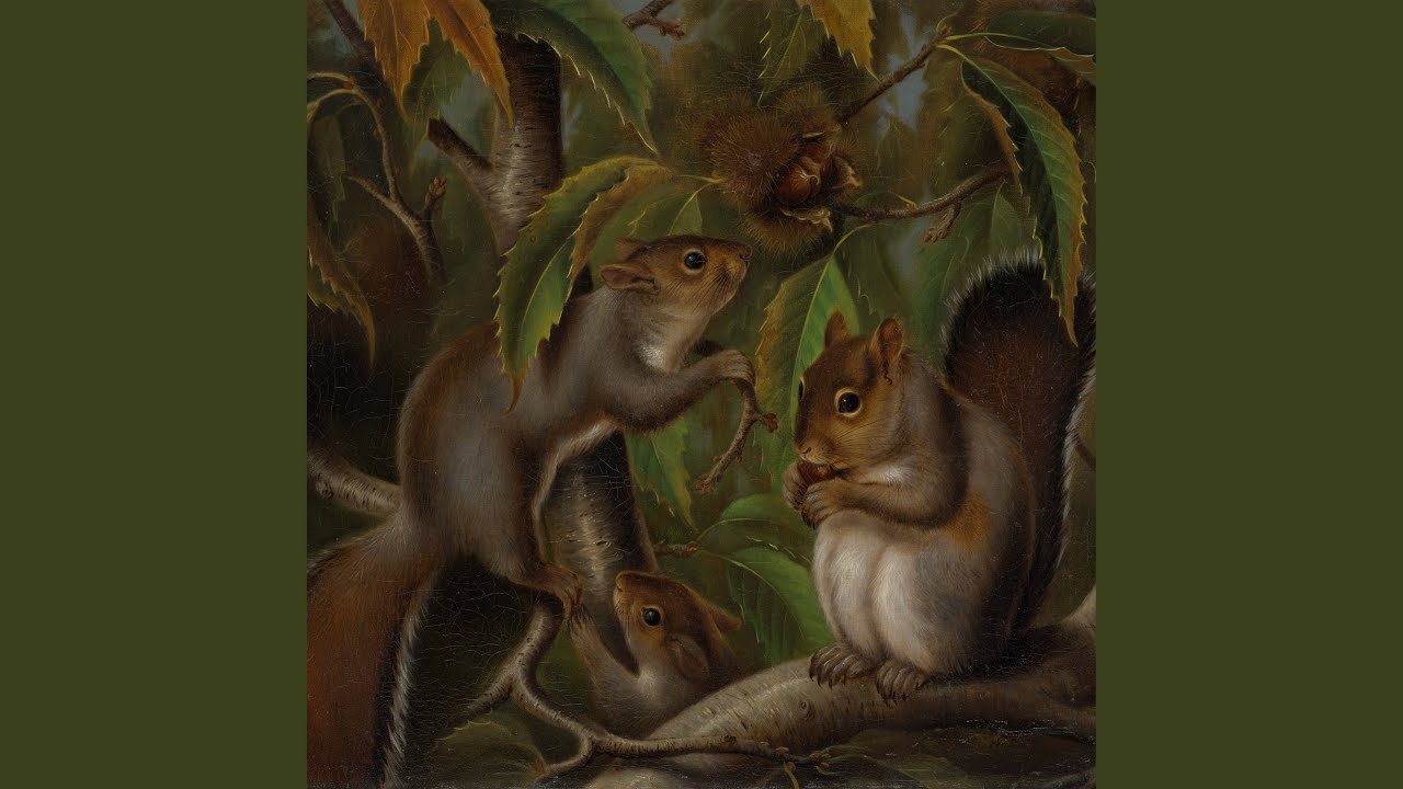 Squirrel Dance Banger 2.1 - YouTube