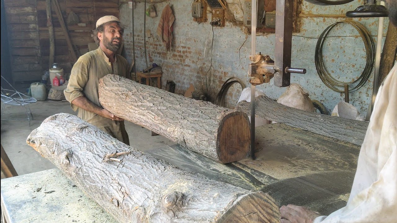 Loading wooden Logs To Sawmill Machine | Sawmill Machine | Wood Cutting ...