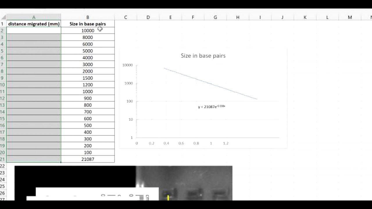 How To Make A Standard Curve In Excel YouTube How To Make A Standard Curve In Excel YouTube