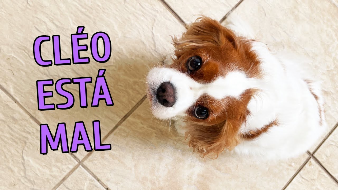 CLÉO VAI SER OPERADA 😢 - YouTube