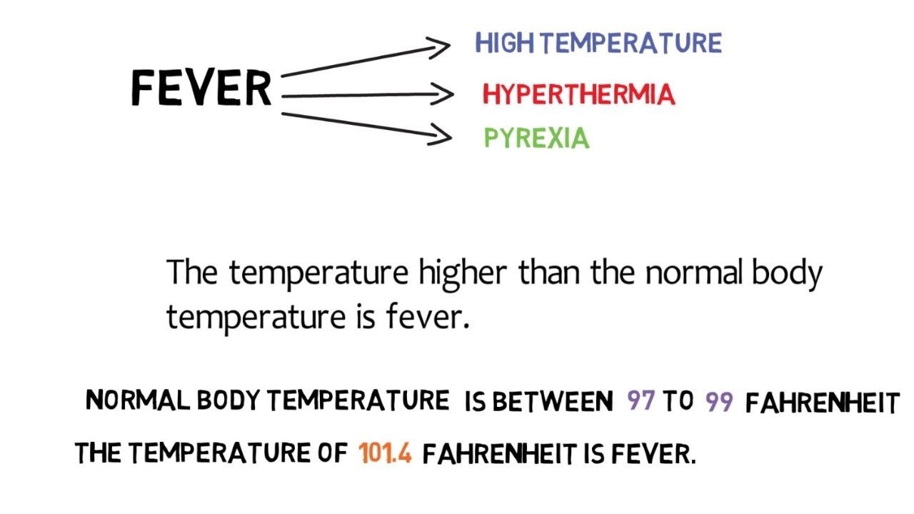 Why fever occurs? (Biology) - YouTube