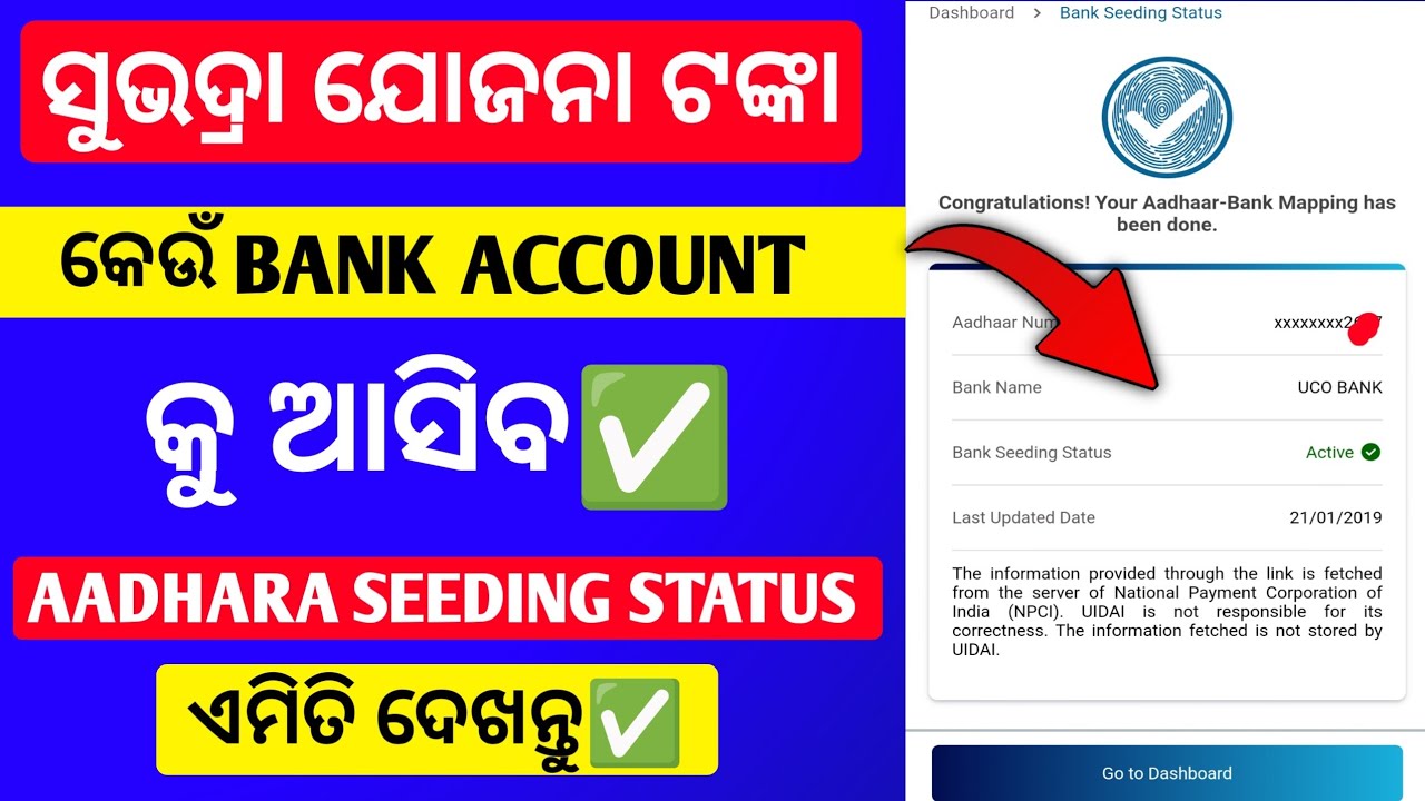 Subhadra Yojana ପଇସା କେଉଁ Bank ରେ ଆସିବ || How to Know Aadhara seeding ...