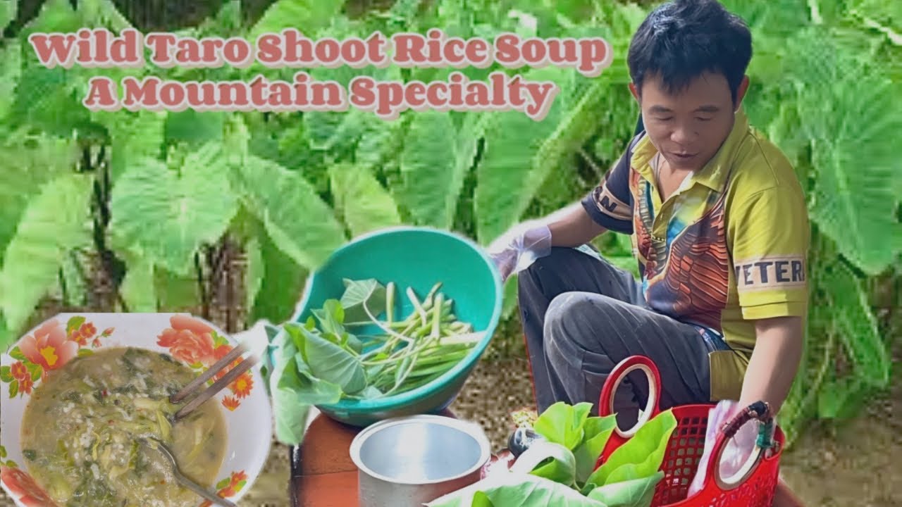 Wild Taro Shoot Rice Soup - A Mountain Specialty - YouTube