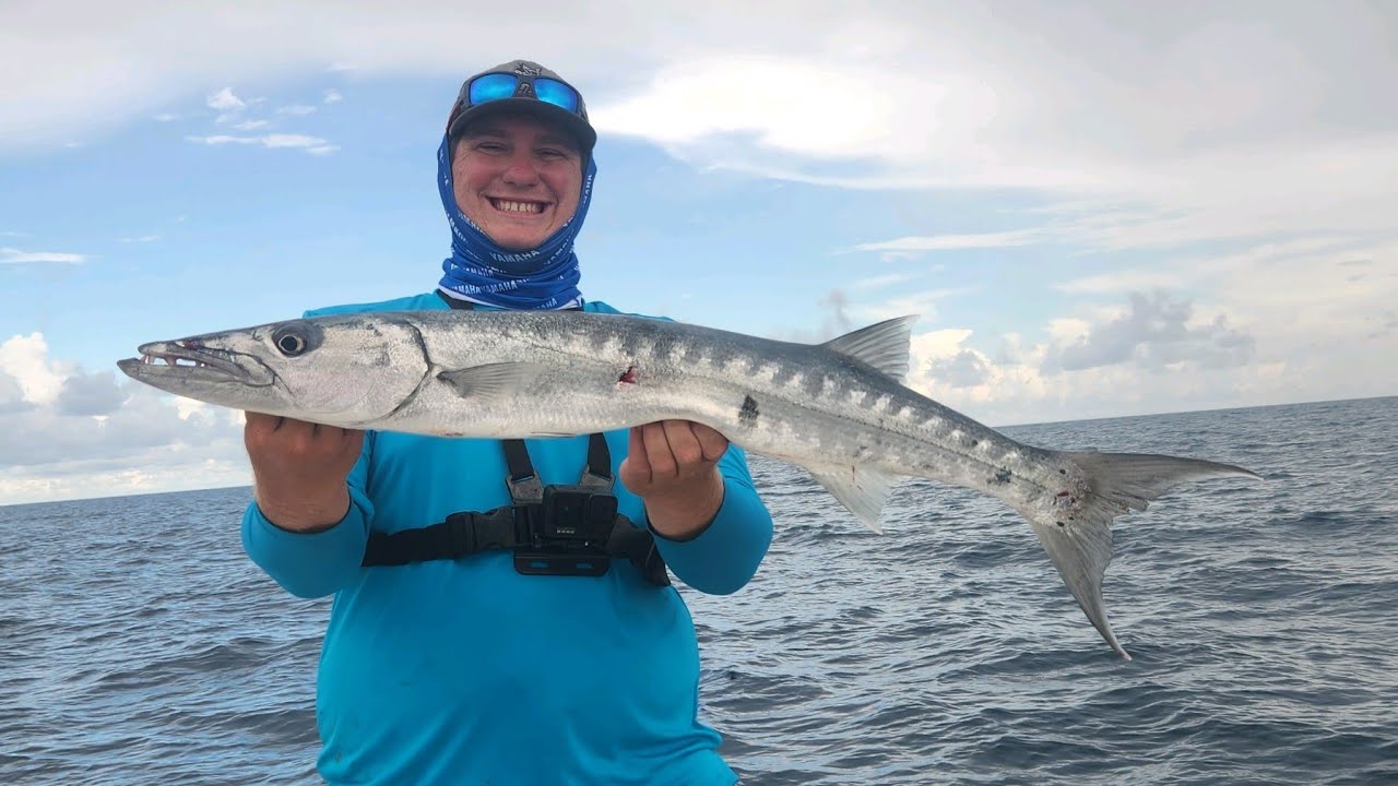 We Caught Everything!! Fishing With Reel Wicked Fishing Charters - YouTube