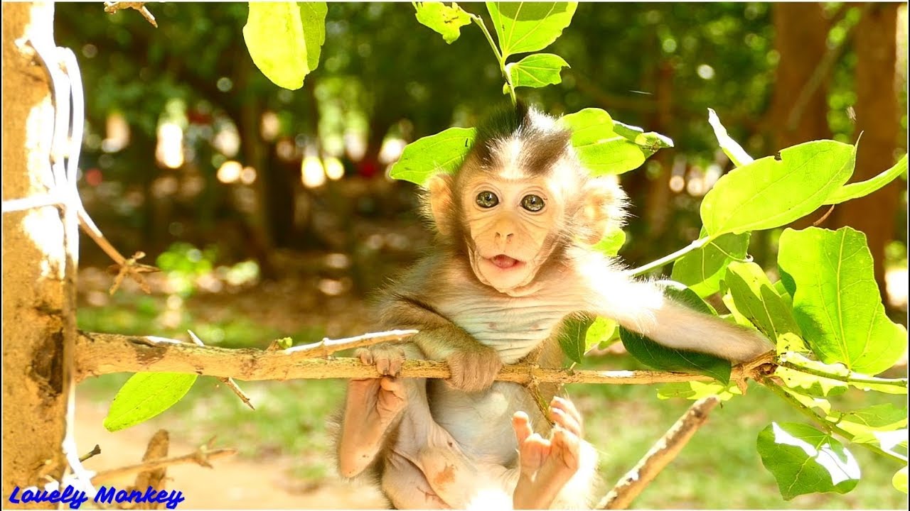 Beautiful Baby Allie. S0 Cute my Little 0ne. - YouTube