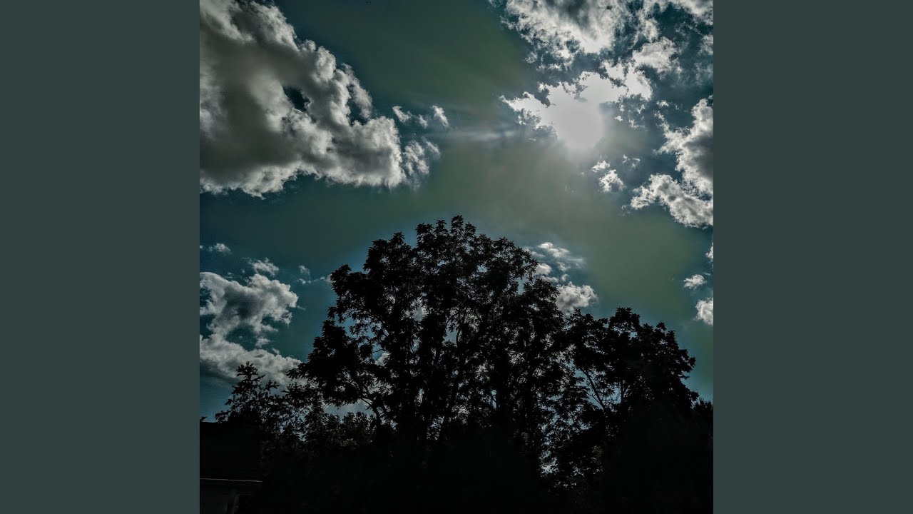 Forest Cruiser - YouTube