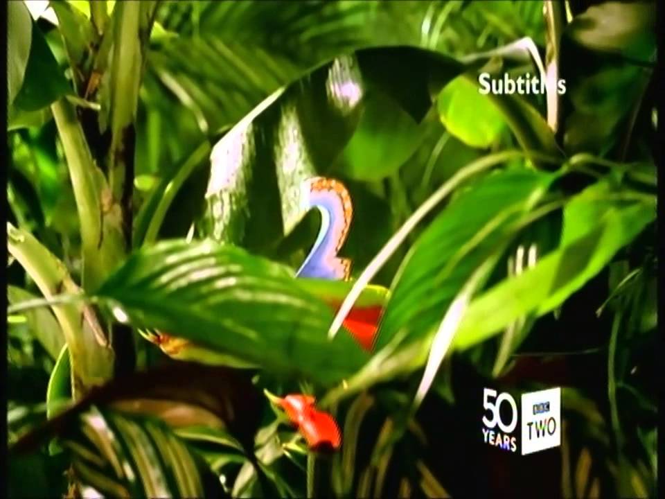 BBC Two 50th Birthday Predator Ident 2014 - YouTube