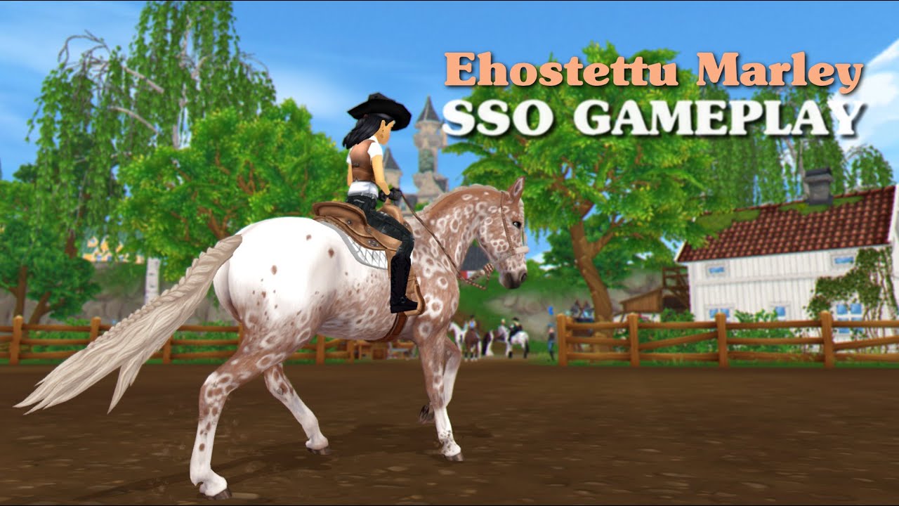 Ehostettu Marley - SSO - YouTube