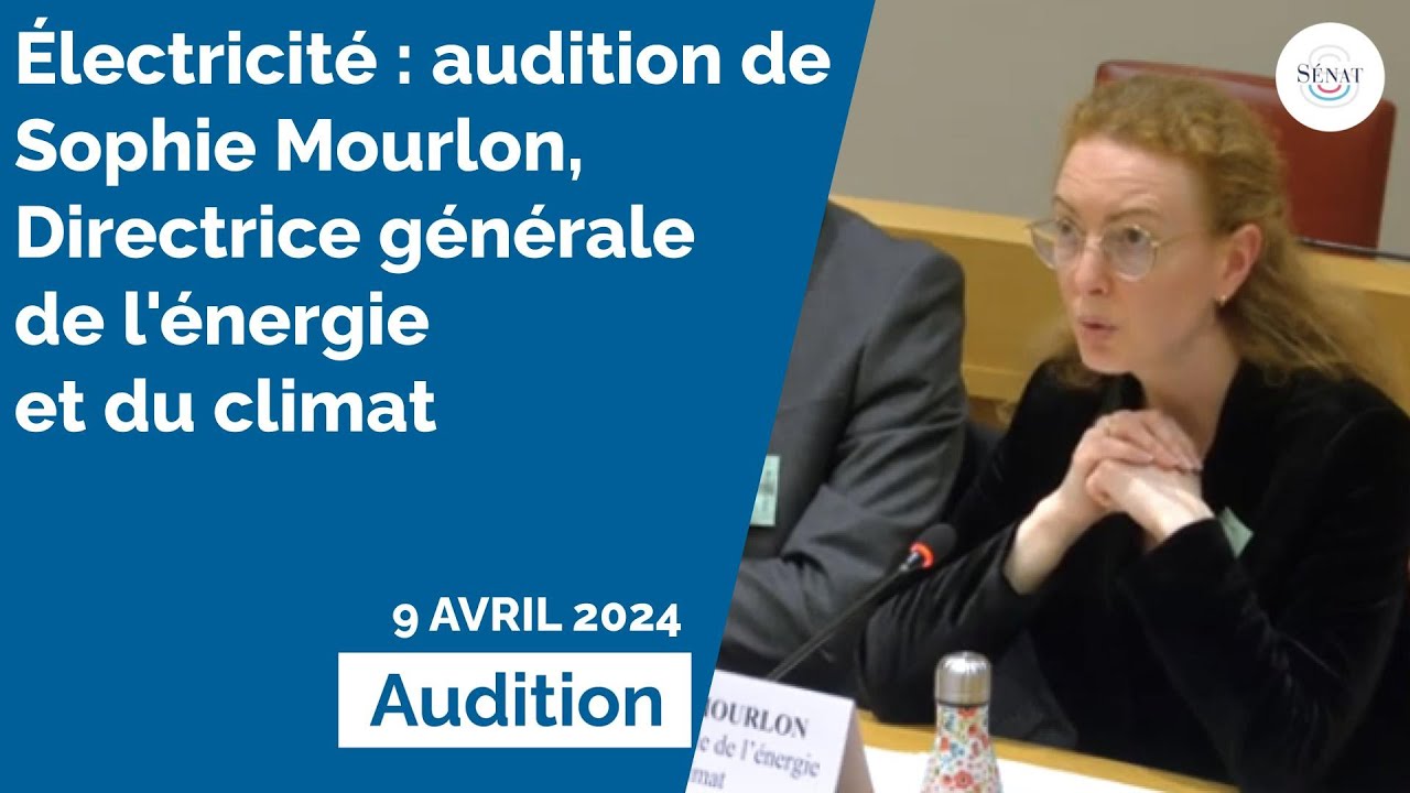 CE Électricité : Audition de Sophie Mourlon, Directrice générale de l ...