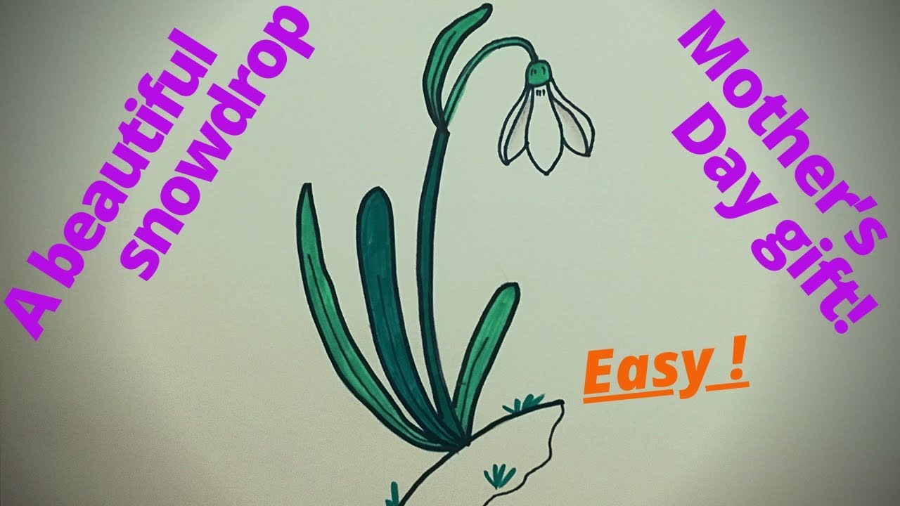 How To Draw Easy A Beautiful Snowdrop – Mother’s Day Gift! - YouTube