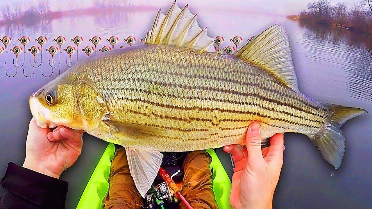 Winter Wiper Fishing 35 Degree Water (Iowa Fishing) - YouTube