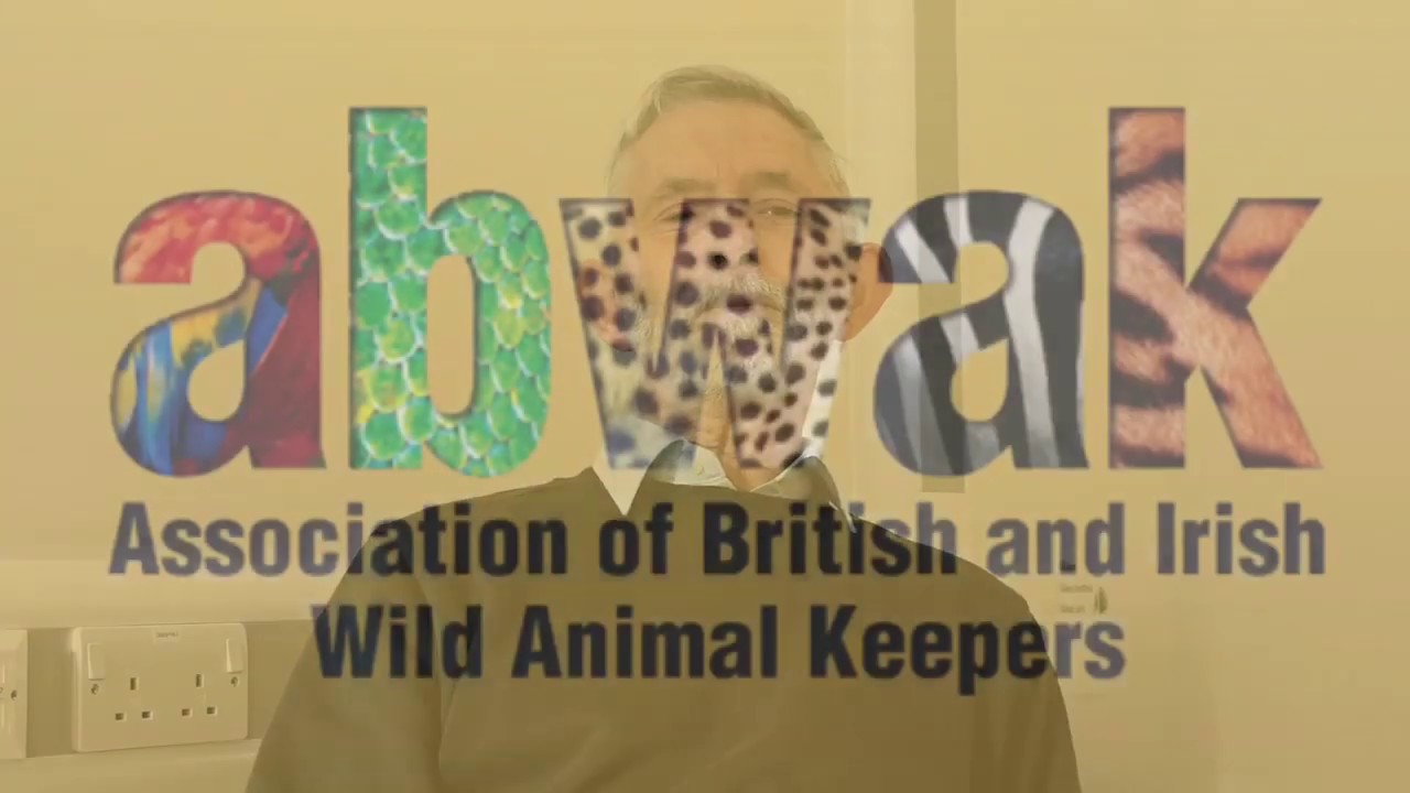 ABWAK Interviews - John Partridge - YouTube