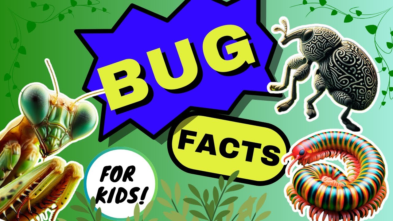 Bug World! Fun Bug Facts for Kids! - YouTube