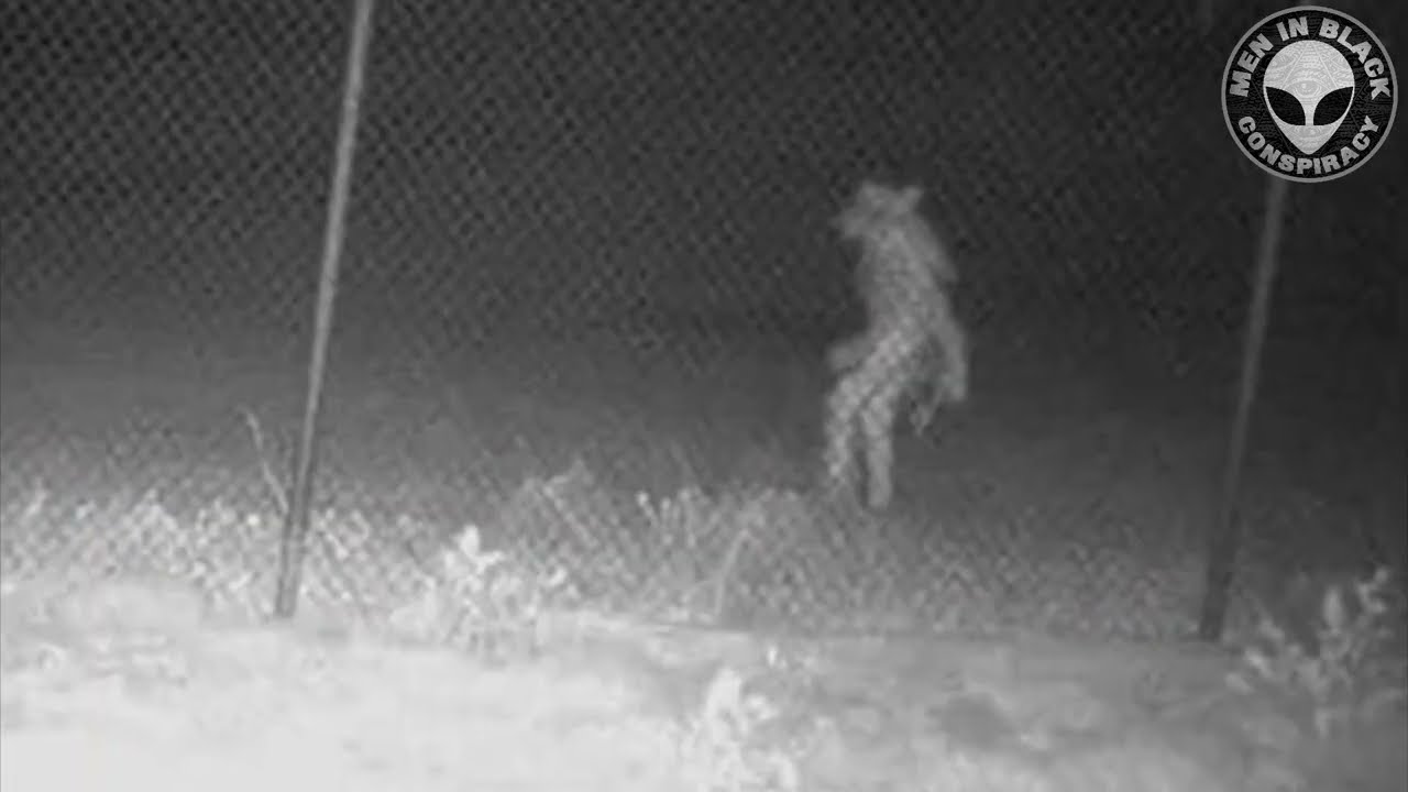 ES DOGMAN o EL HOMBRE LOBO lo que vieron en Amarillo,Texas? - YouTube
