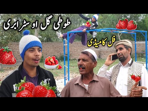 Tuti Gull Aw Stabery || Pashto New Funny Video 2021 By Tuti Gull Vines ...