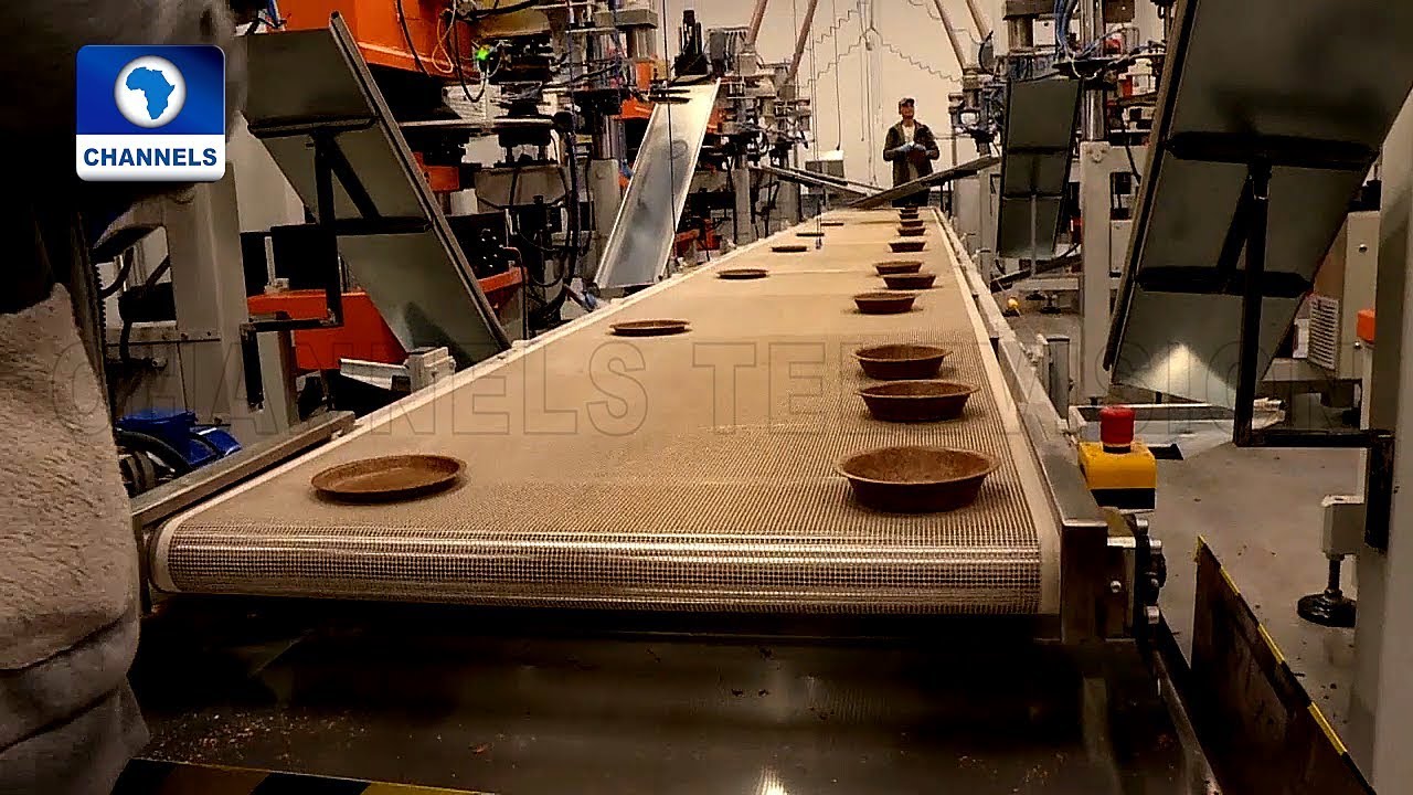 Polish Engineer Turns Wheat Bran Into Tableware And Cutlery |Eco@Africa ...