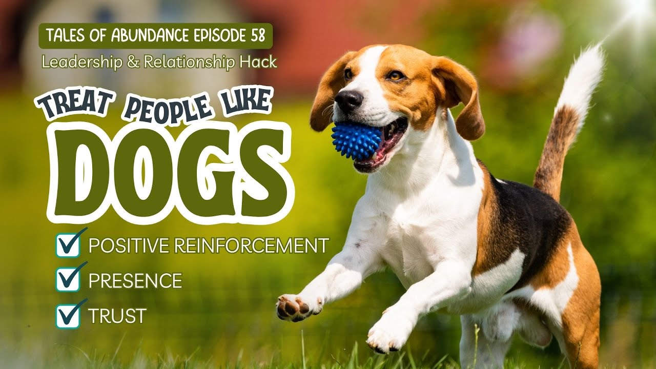 Treat People Like Dogs: The Relationship Hack - Presence, Trust, and ...