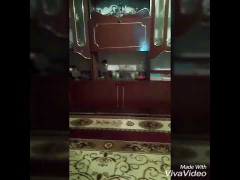 COXXX gulmeli prikol video😆