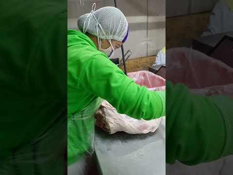 LADY BUTCHER DEBONING LEG PART