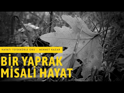 Bir Yaprak Misali Hayat - Mehmet Kazar - #Sonbahar #Ölüm #Tabiat #Doğa #Belgesel