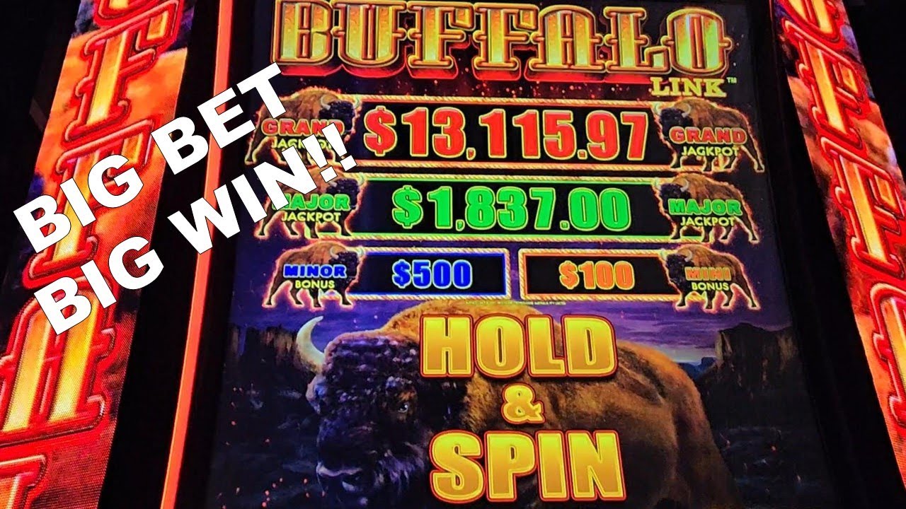 BIG BUFFALO=BIG WIN on BUFFALO LINK SLOT | Winning off Free Play # ...