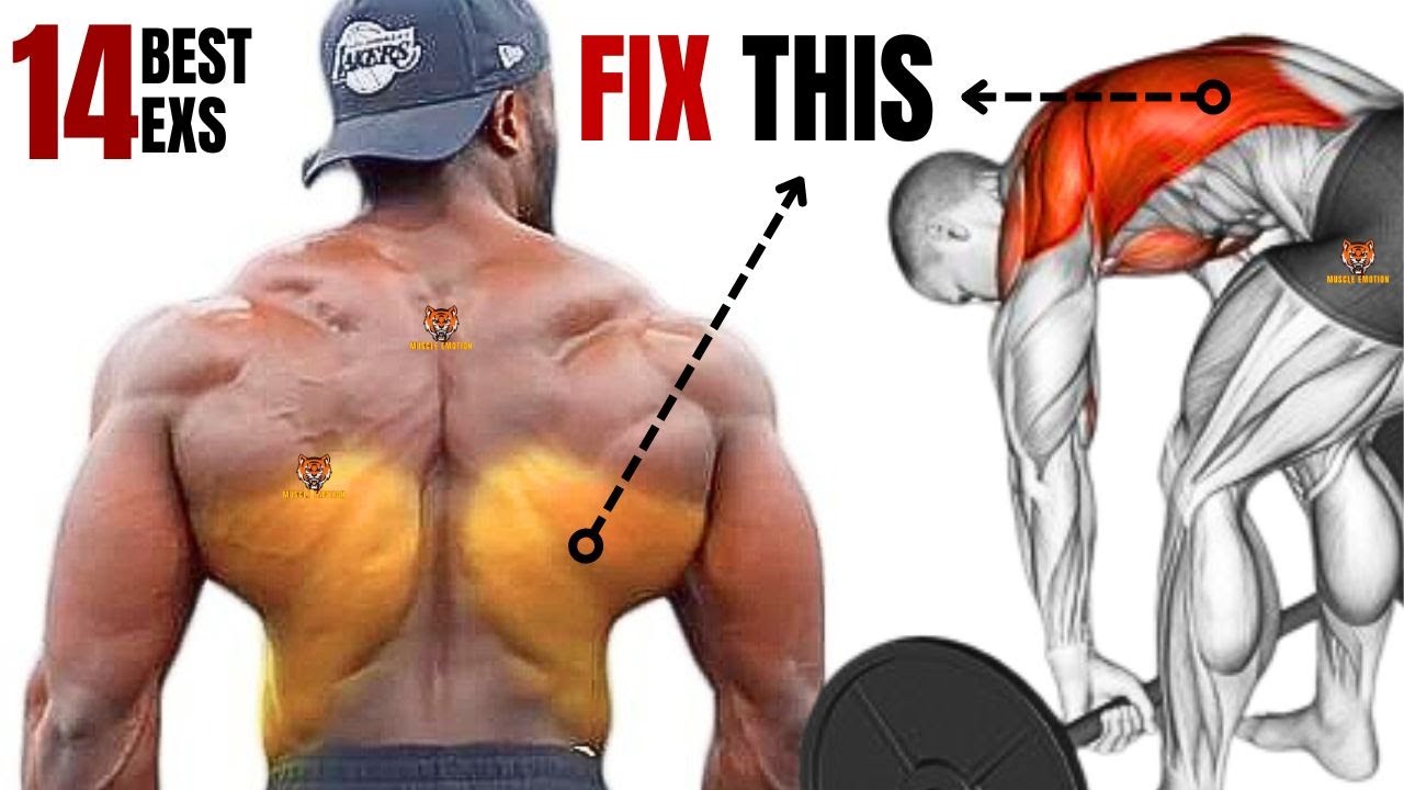 TOP 14 LAT WORKOUT WITH DUMBBELLS BARBELL AND CABLE ONLY THAT YOU NEVER ...