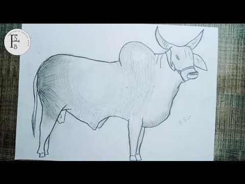 How To Draw A Beautiful Ox Sketch Drawing With Pencil Step By Step ...