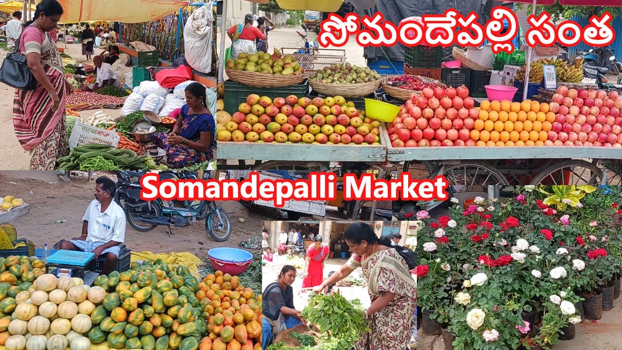 సోమందేపల్లి సంత | Somandepalli Weekly Market Full Tour 🌾🧺 - YouTube