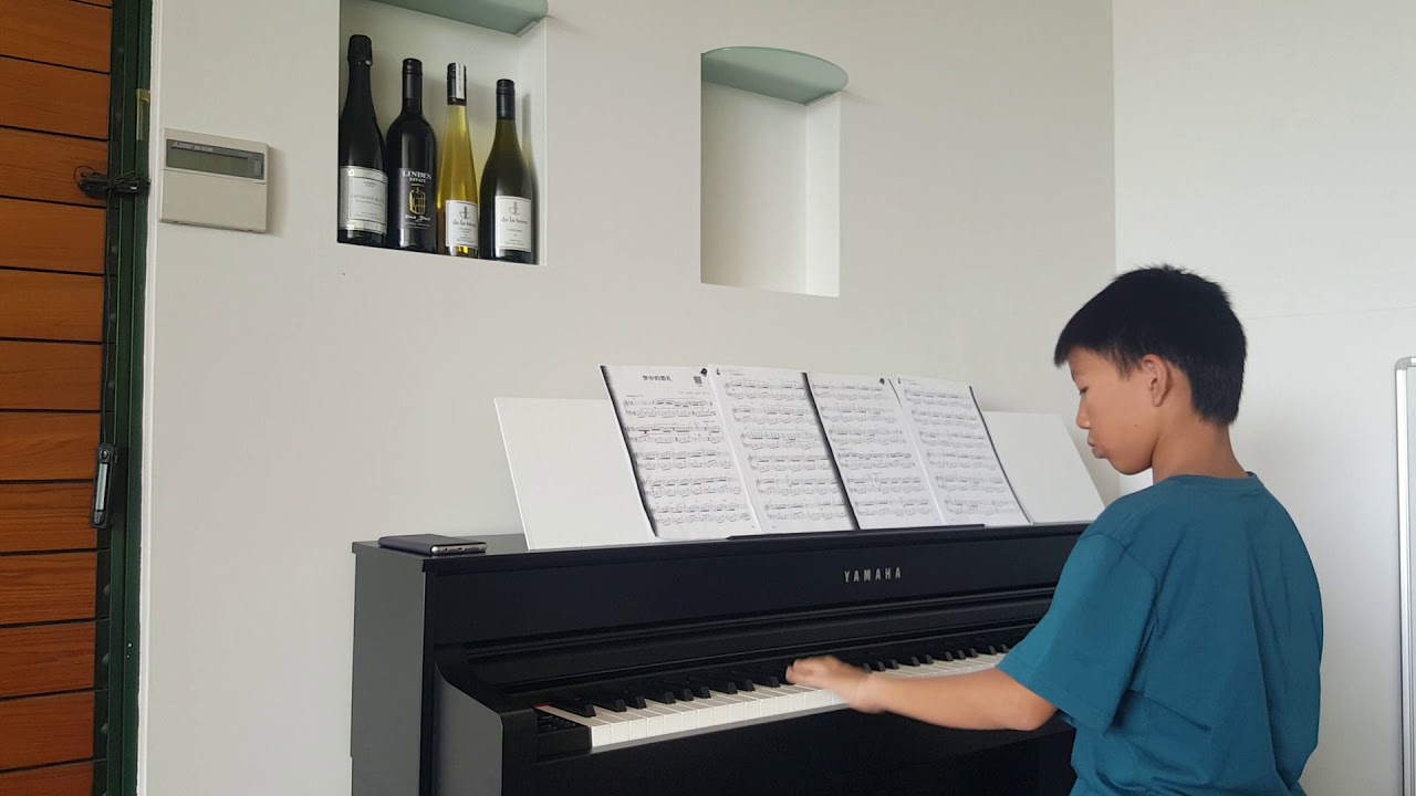 Dream Wedding ～ Performed by Roy ZHU - YouTube