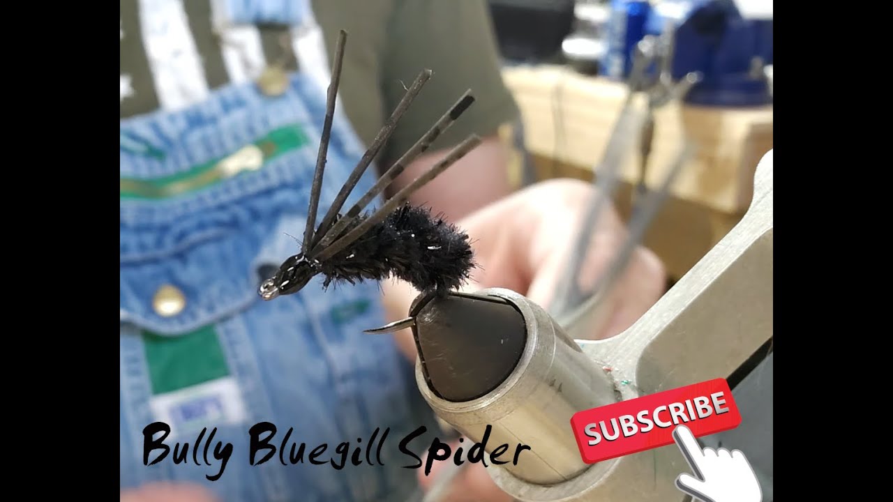 Bully Bluegill Spider - YouTube