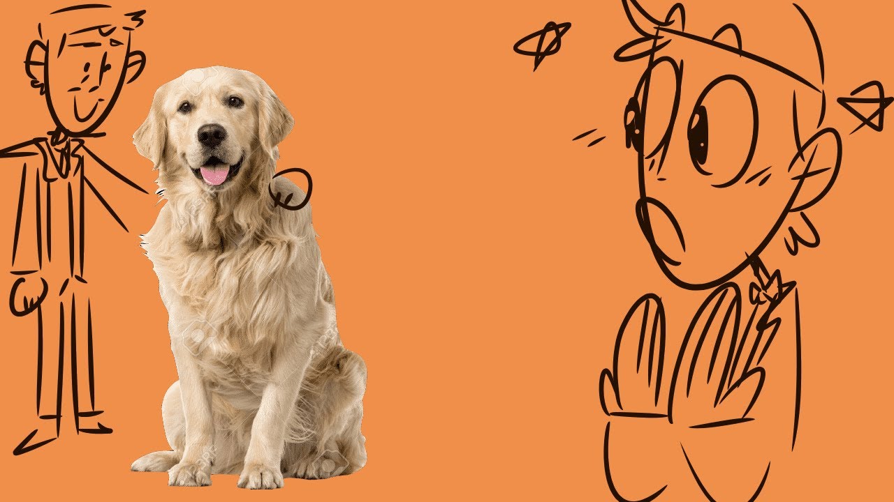 perfect puppy (sunkist edition) - YouTube