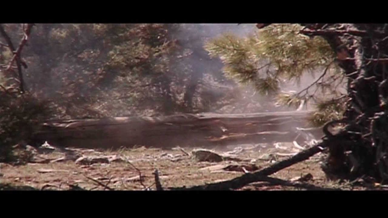 Sure Shot Exploding Targets - 1/2 Pound and 1 Pound - YouTube
